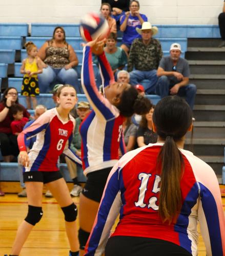 TCMS Tiger Volleyball Defends Home Court | Sports | gpkmedia.com