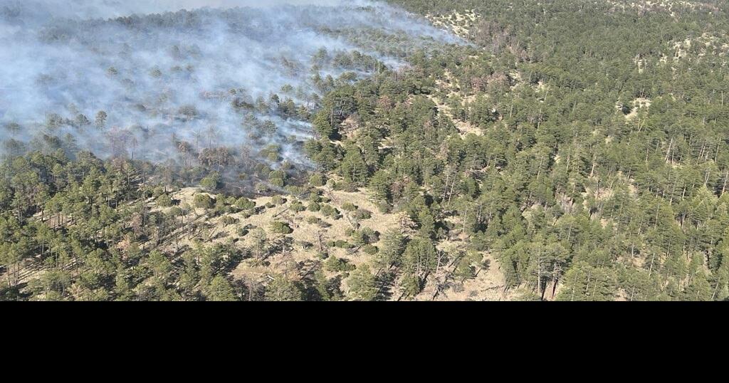Pass Fire Burns Near Winston | News | gpkmedia.com