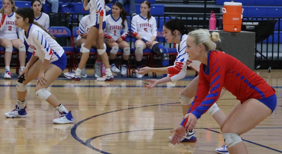 Tiger Volleyball Sweeps Hatch Out Of The Den: The Match In Pictures ...