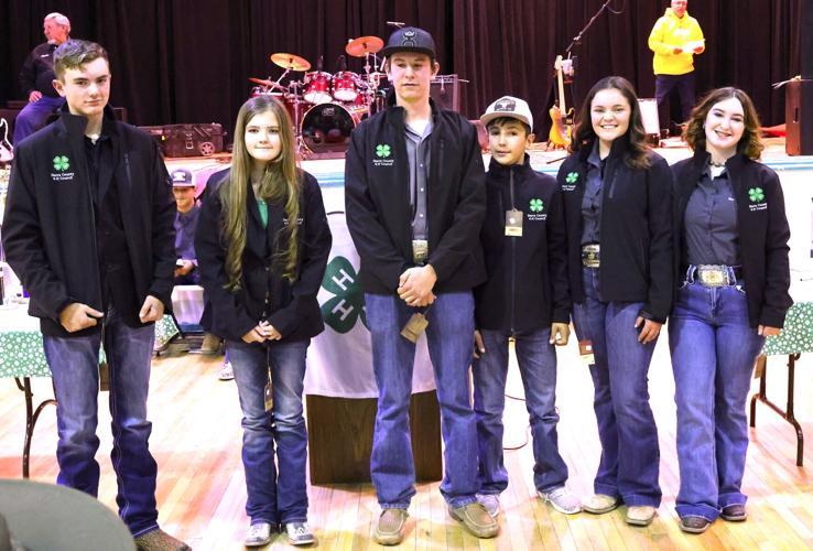 Awards And Honors At Sierra County 4-H Banquet | News | gpkmedia.com