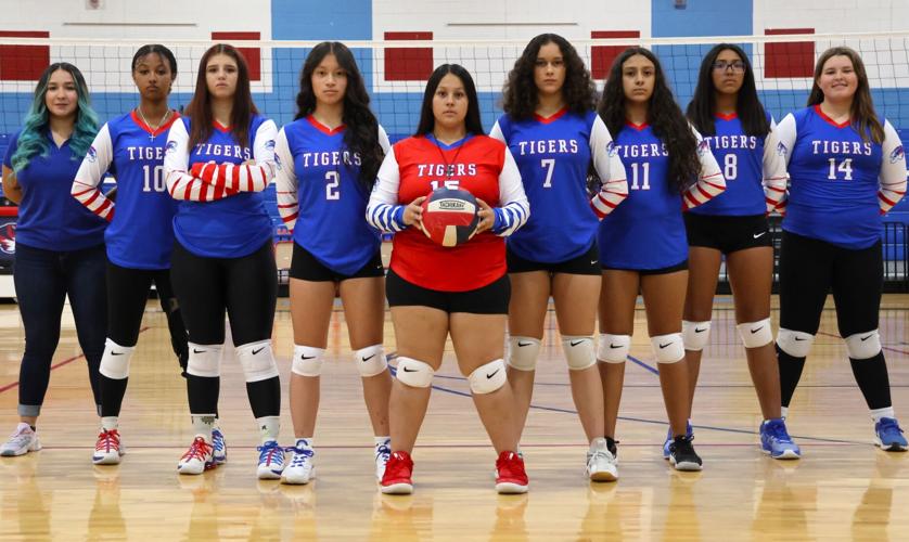 TIGER VOLLEYBALL 2024 TEAMS | Sports | gpkmedia.com