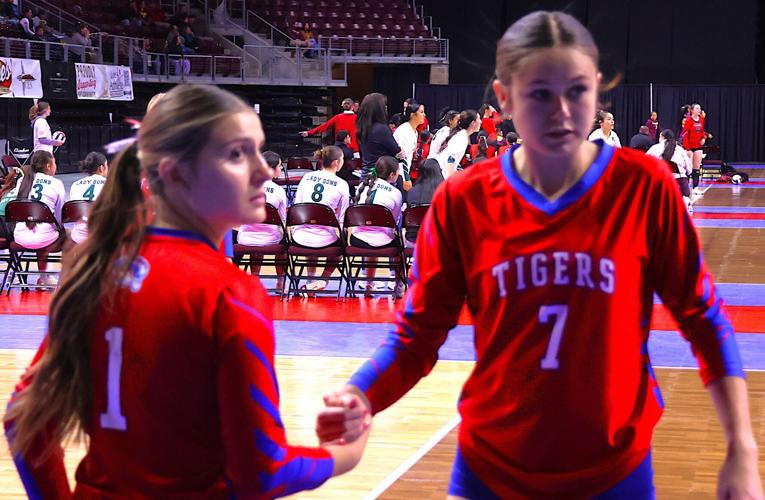 Tiger Volleyball's Season Ends in Match Three - Game One In Pictures ...