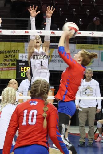 Tiger Volleyball At State Playoffs Round One: The Match In Pictures ...