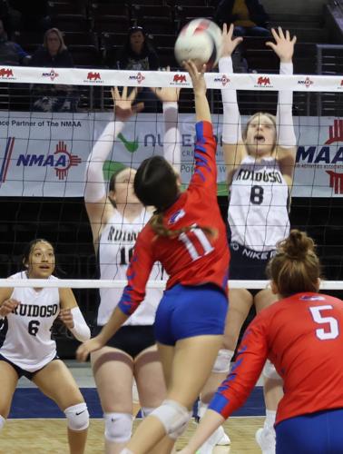 Tiger Volleyball At State Playoffs Round One: The Match In Pictures ...
