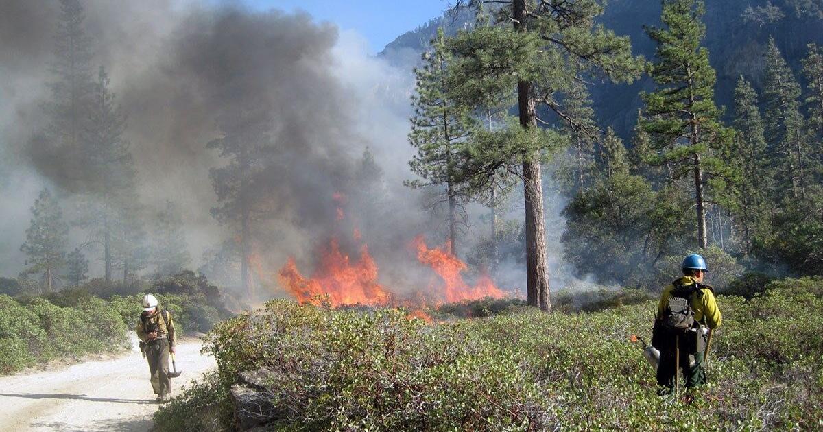 GNF Prepares To Burn Cedar Breaks Prescribed Fire | News | gpkmedia.com