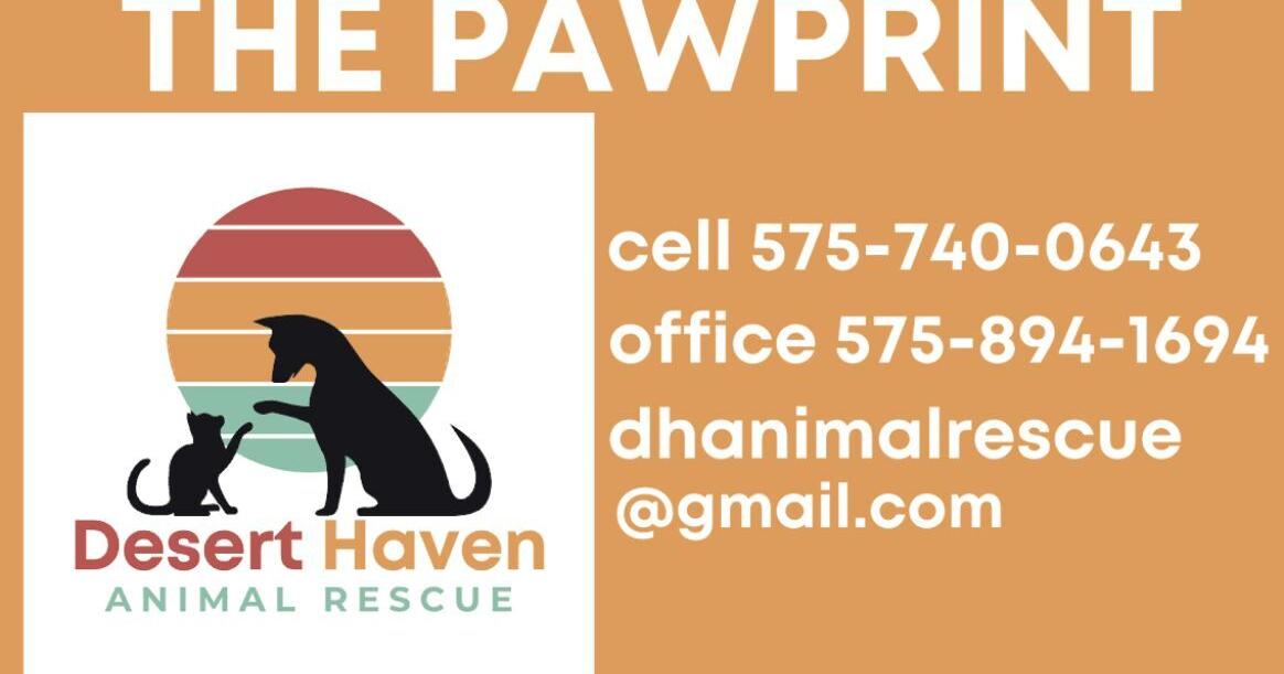 Raising Healthy Pets Starts Long Before an Emergency | Opinion ...