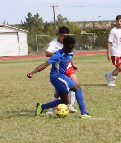 Tiger Soccer Heads Into Final Stretch | Sports | gpkmedia.com