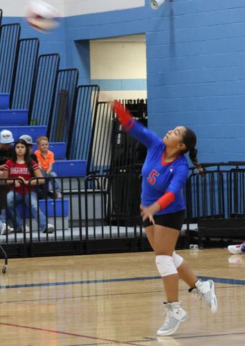 TIger Volleyball Battles In The Den: The Match In Pictures | Sports ...