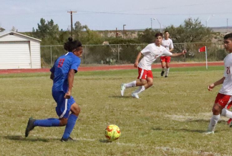 Tiger Soccer Heads Into Final Stretch | Sports | gpkmedia.com