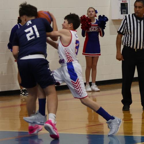 TCMS Tiger Boys Basketball: A Season In Pictures | Photo Galleries ...