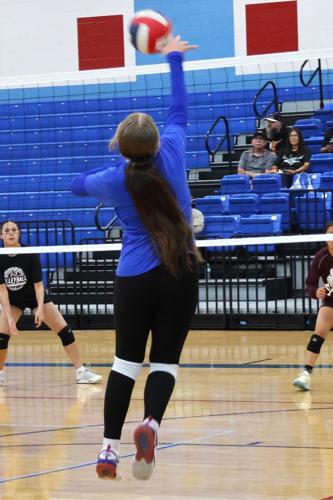 Tiger Volleyball Shows Its Power | Sports | gpkmedia.com