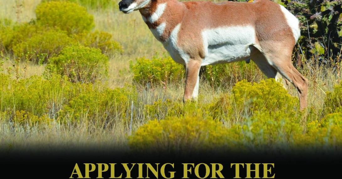 Apply Now For The Big Game Draw | News | gpkmedia.com