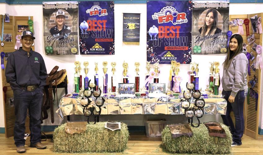 Awards And Honors At Sierra County 4-H Banquet | News | gpkmedia.com