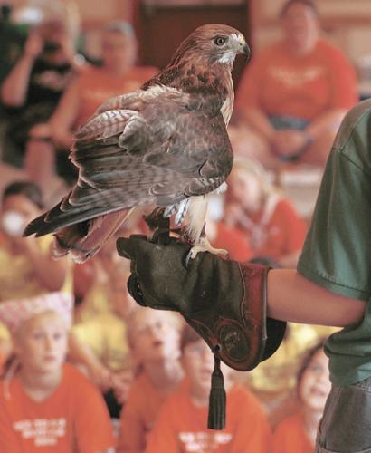 Top 5 things to do this weekend | Arts & Culture | grandhaventribune.com
