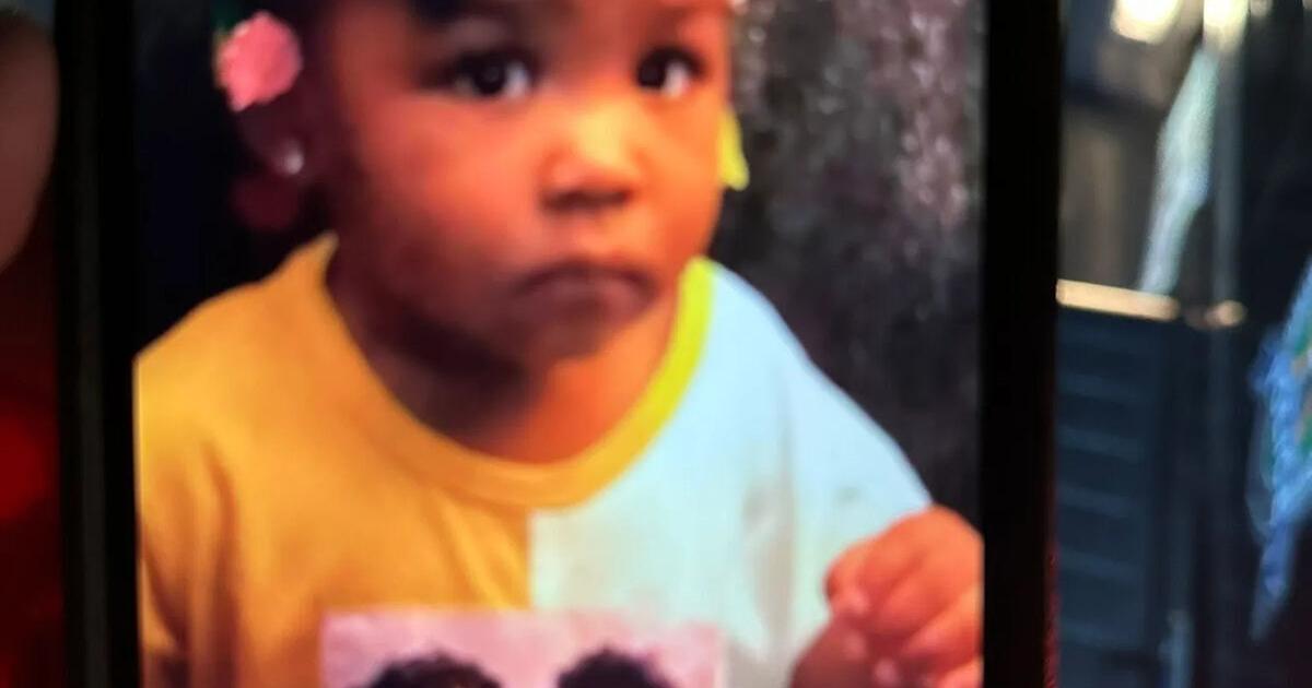 Missing 2 Year Old Girl Is Found Dead In An Overgrown Detroit Alley
