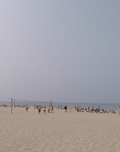 Video: Daily Beach Report for Saturday July, 4 | News | grandhaventribune.com