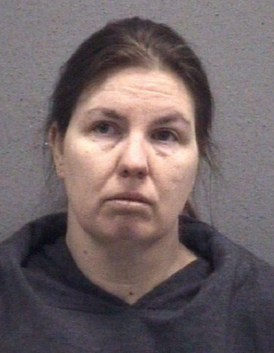 Norton Shores dog rescue owner admits 8 puppies died in her care in ...