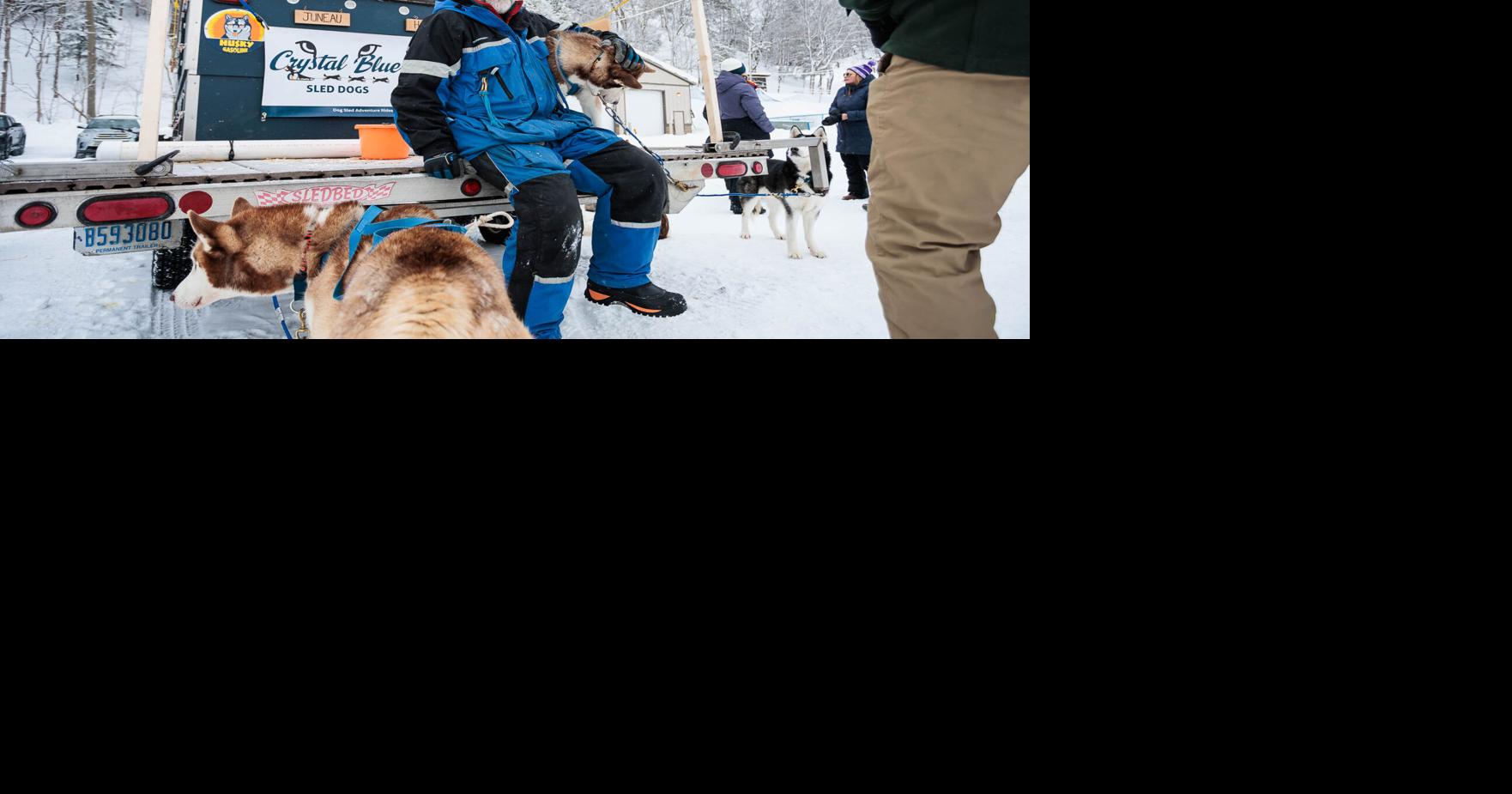 Winterfest photos – Sled dog demonstration | Fairs & Festivals ...