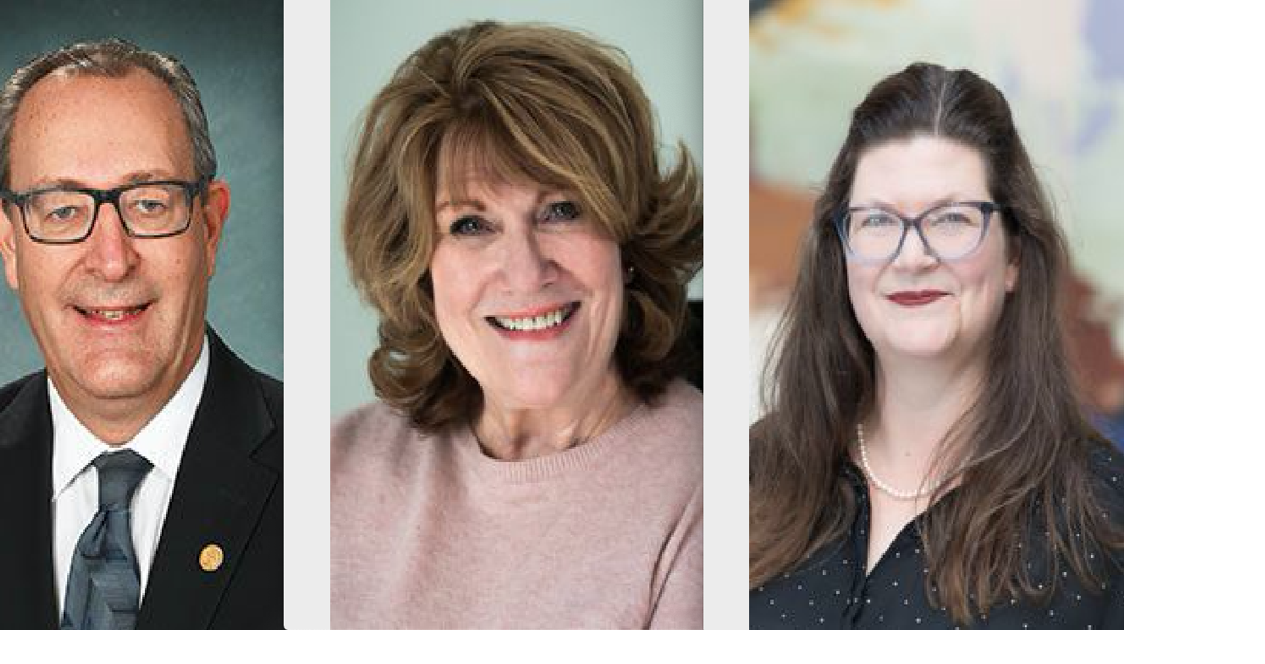Get to know your candidates for state Senate | Elections ...