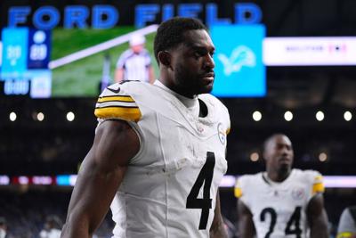 Steelers WR DK Metcalf suspended 2 games following altercation with fan ...