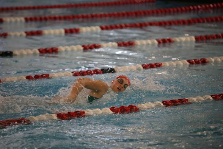 Laker swim and dive adapting under new coach, beat Hamilton in ...