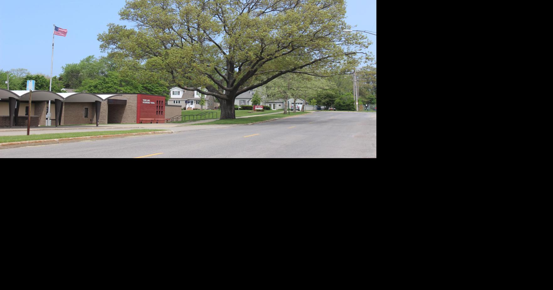 100-plus-year-old Spring Lake tree in danger of being ousted | News | grandhaventribune.com