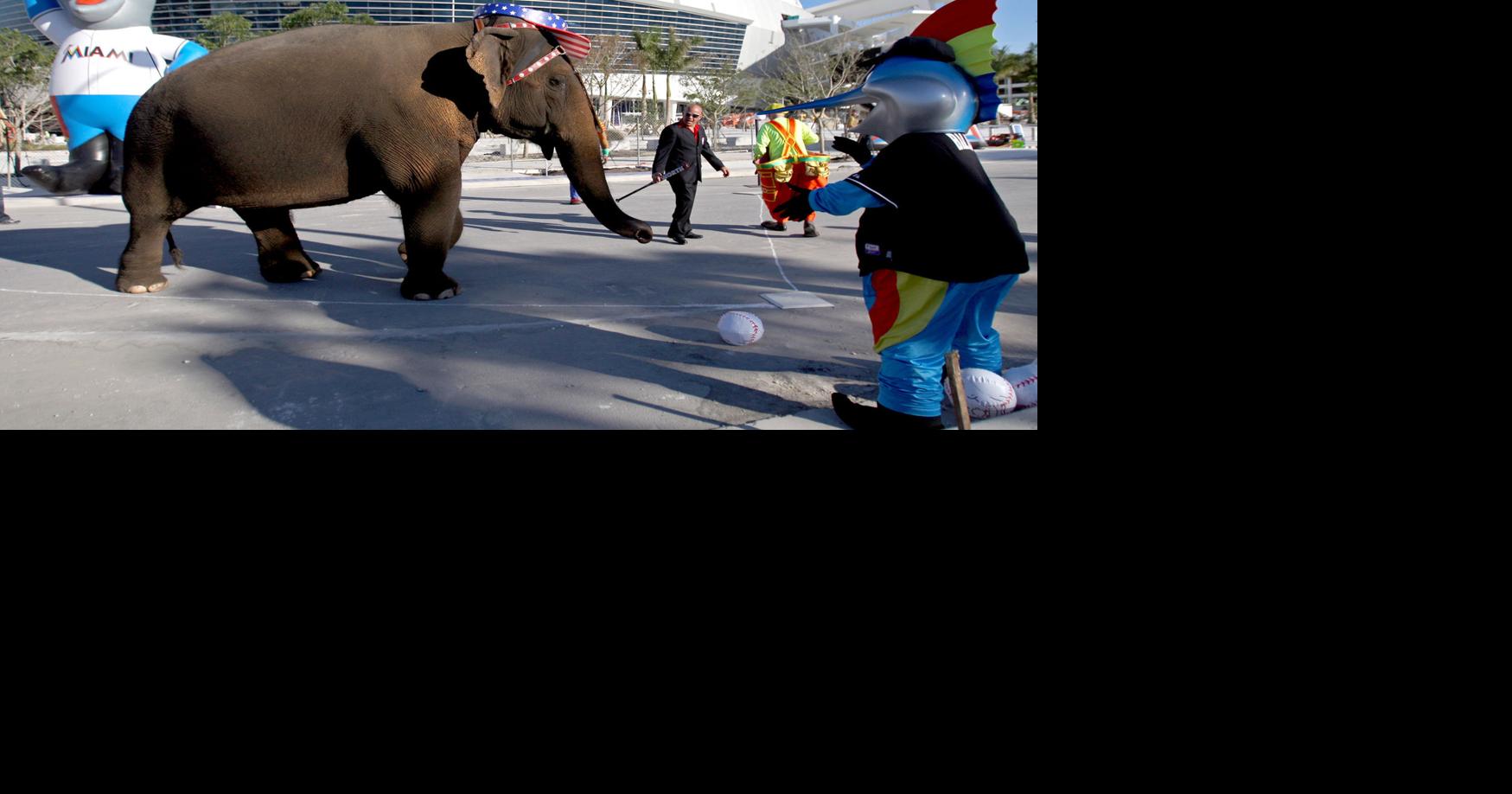 Reborn Ringling Bros. circus to leap on tour — minus animals ...