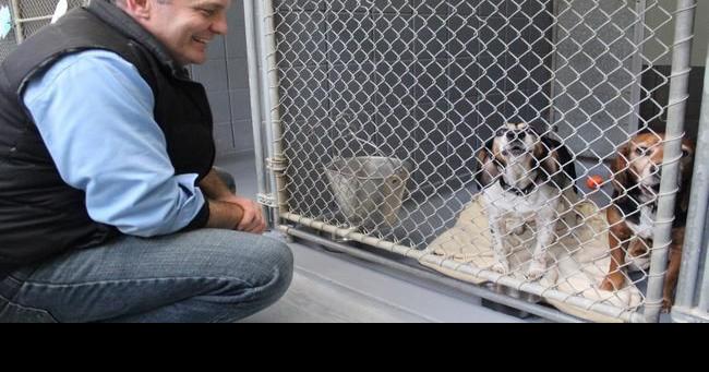 Harbor Humane Society offers holiday promotions | Local News ...