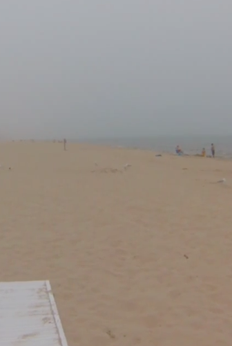Video: Tribune Daily Beach Report | News | grandhaventribune.com