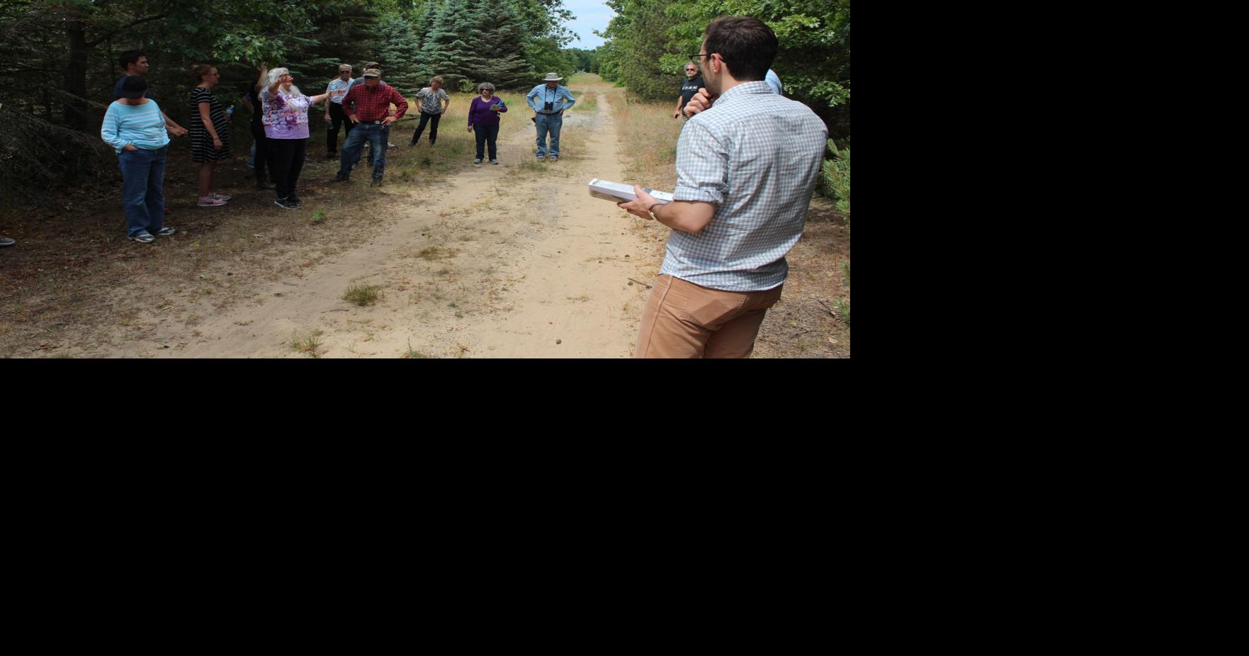 Township tackles tree issue at Witteveen property | Environment ...