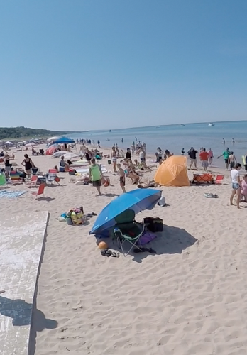 Video: Daily Beach Report for Sunday, June 28 | News | grandhaventribune.com