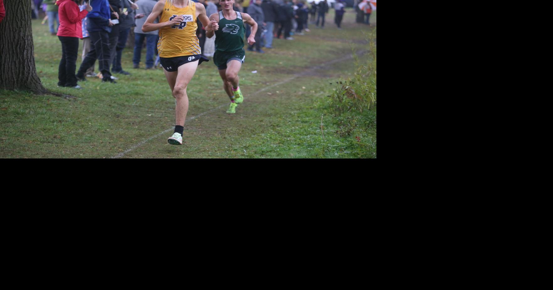 Cross country state finals: GH's Norder wins boys D1 race; Laker girls ...