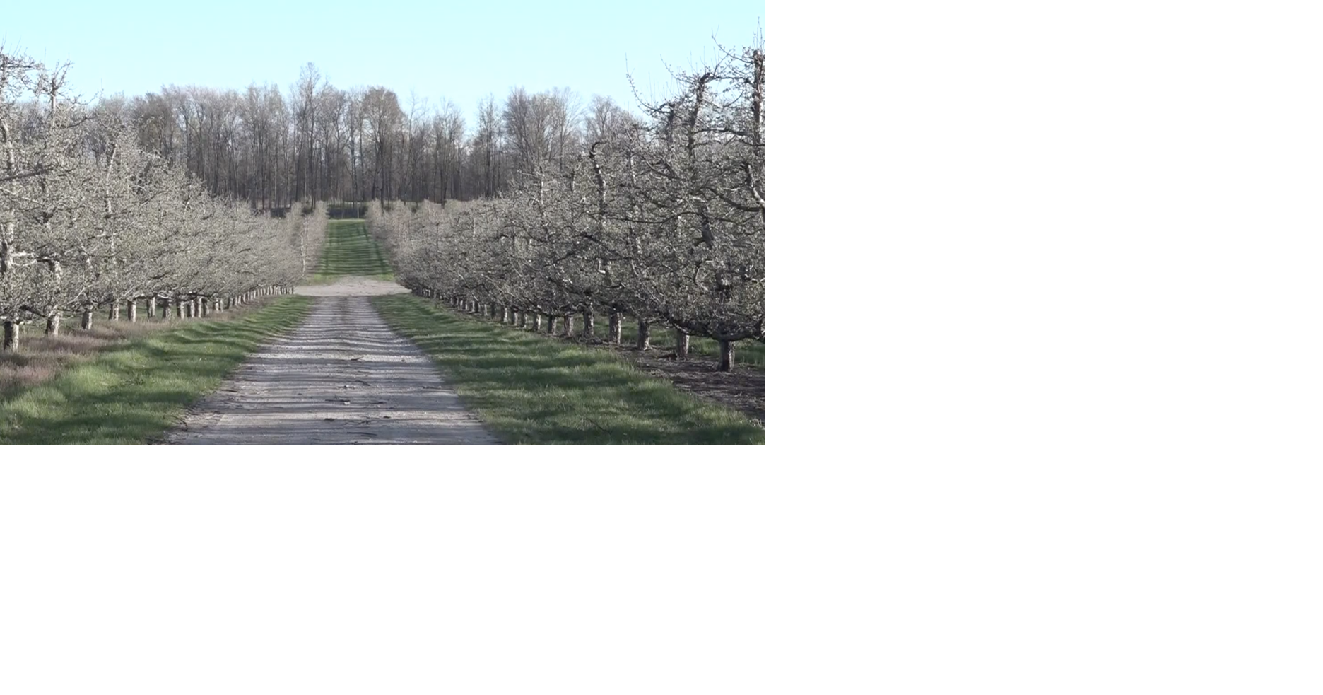 West Michigan fruit trees in fair shape to begin growing season ...