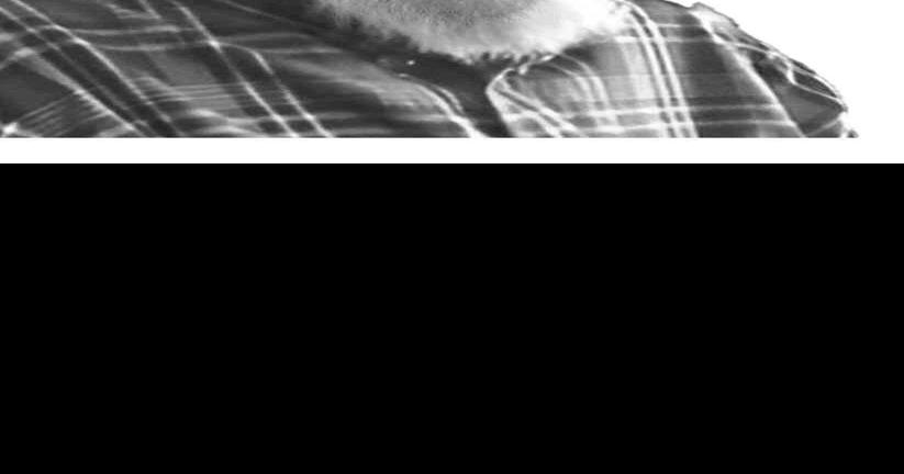 Richard Russell Corwin | Obituary | grandhaventribune.com