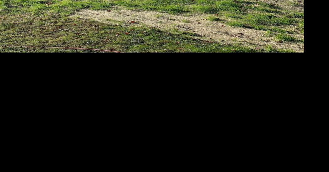 Statue of Bill Hayes will be unveiled on Dec. 7