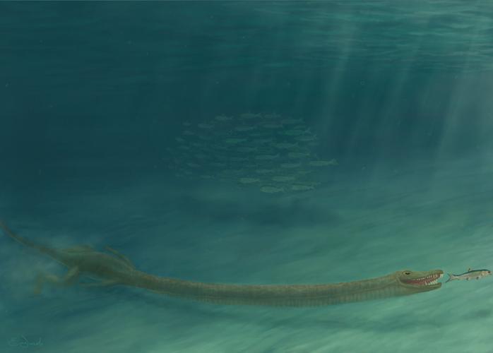 Scientists have unraveled the riddle of a real-life sea monster