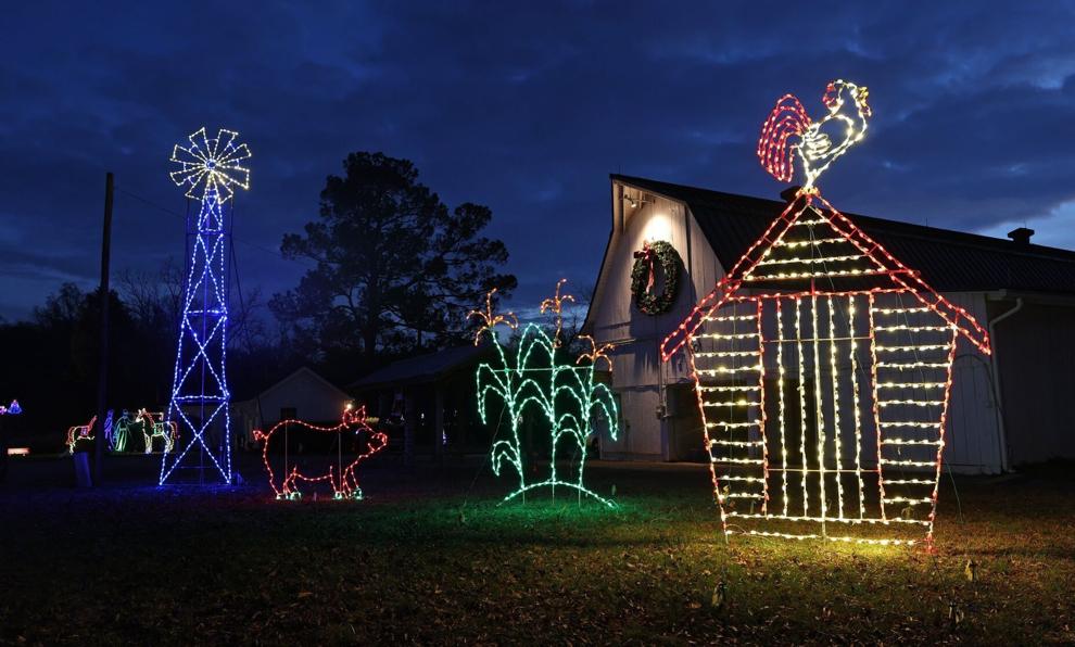 See photos of the 2025 Tanglewood Festival of Lights