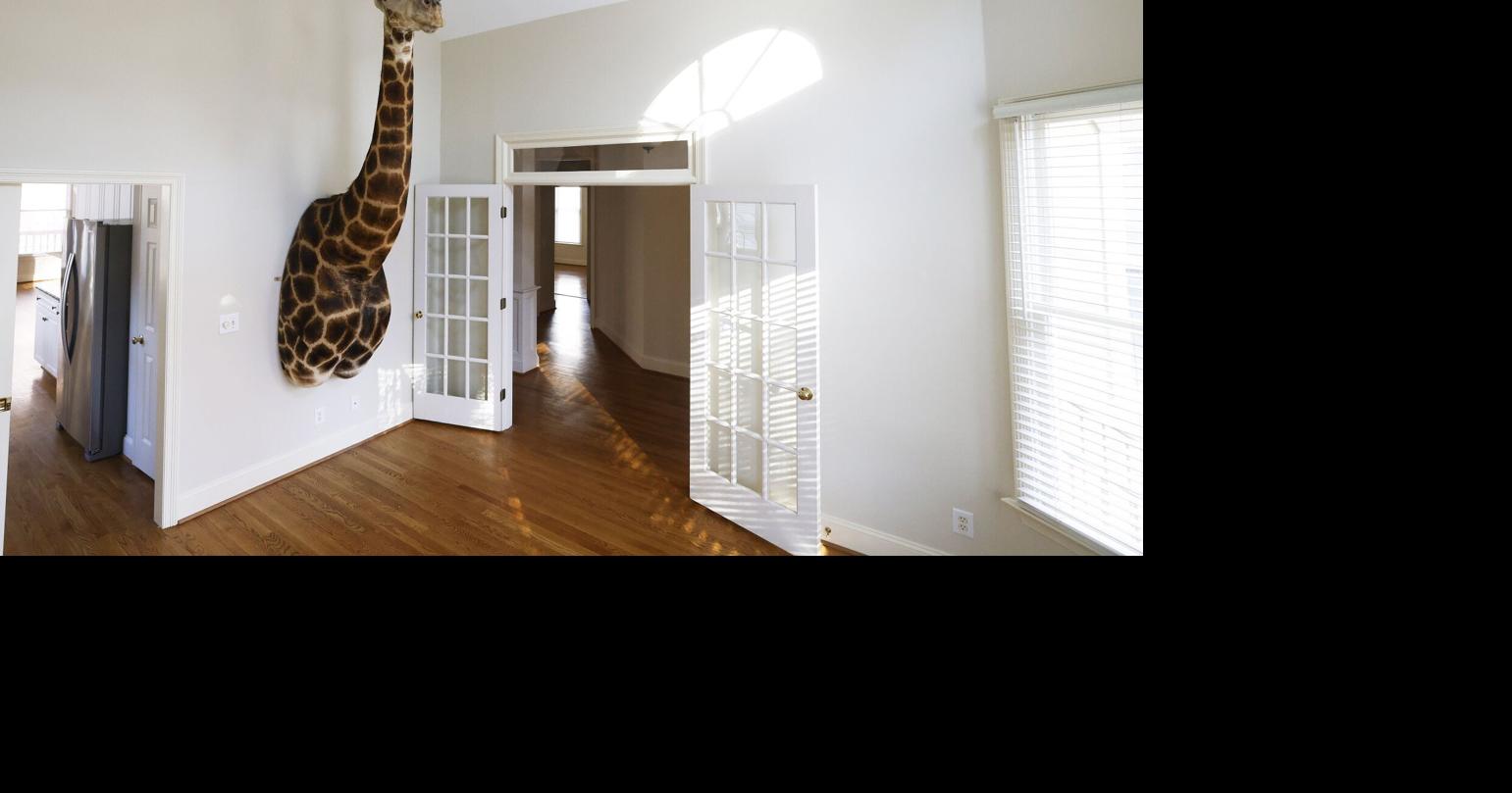 Lake Jeanette house for sale -- with or without the giraffe