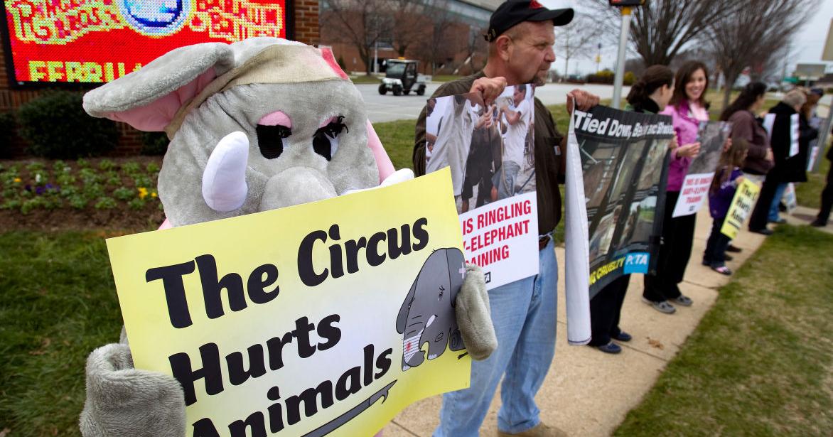 CIRCUS ANIMAL PROTEST