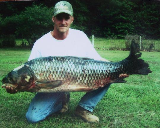Prediction comes true: Grass carp sets record