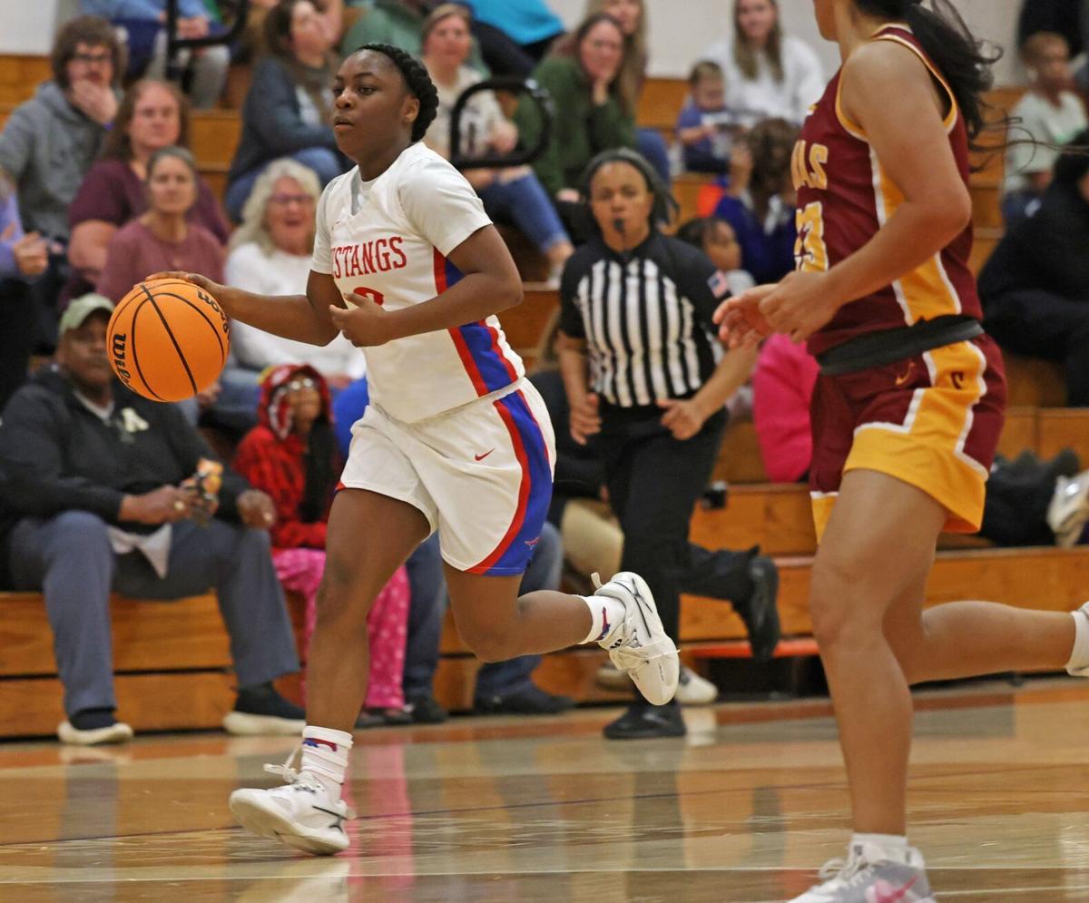 See photos of Parkland and South Stokes semifinal game in the Mary ...