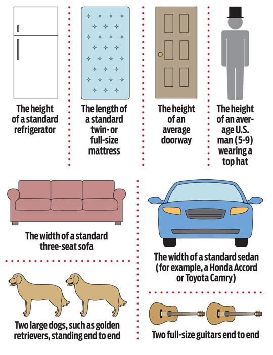 Things that are about 6 feet long