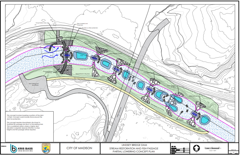 Potential Madison dam replacement could improve fish passage, recreation