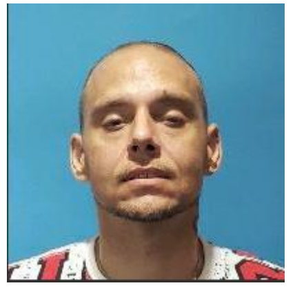 McDaniel arrested in Colo. faces first degree murder charges for ...