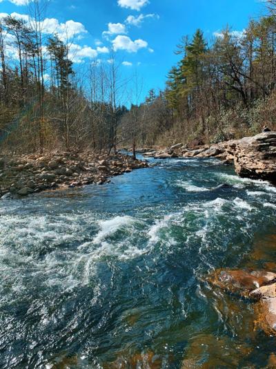 From deep in Linville Gorge, the fabled Daffodil Flats lures ...