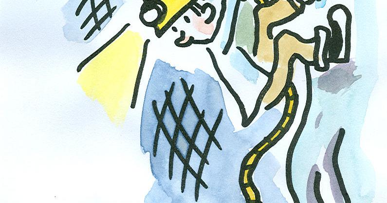 the mystery of the missing library books