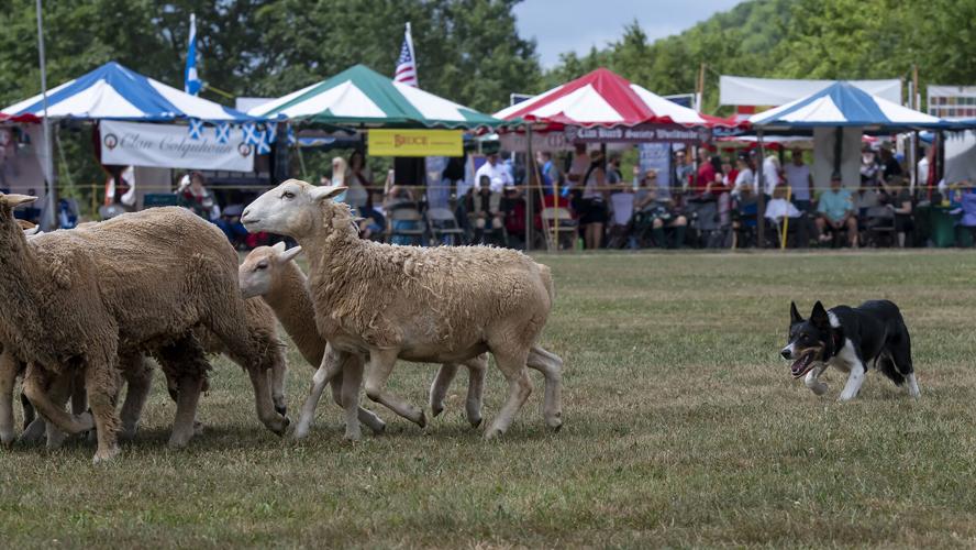Highland Games set to return to Grandfather Mountain’s MacRae Meadows