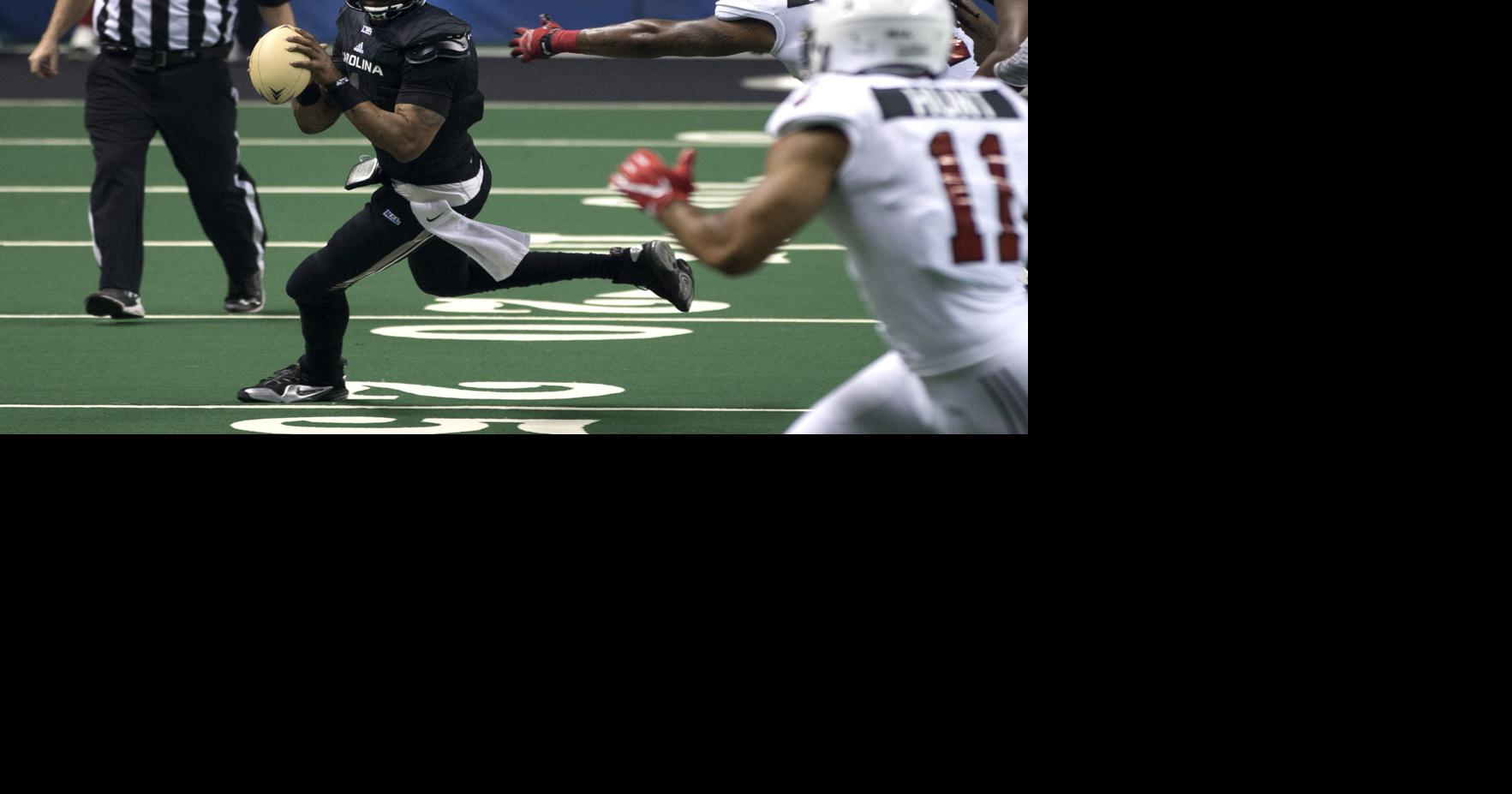 Cobras coach, quarterback find arena football success together