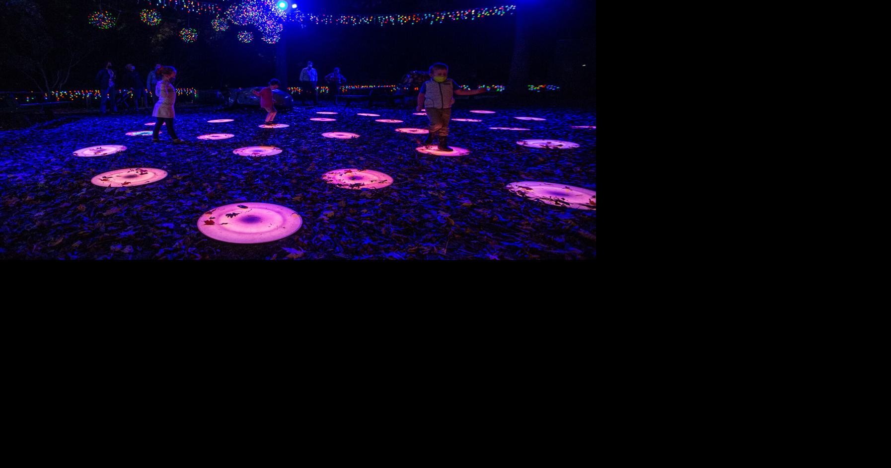 Photos: Winter Wonderlights at the Greensboro Science Center