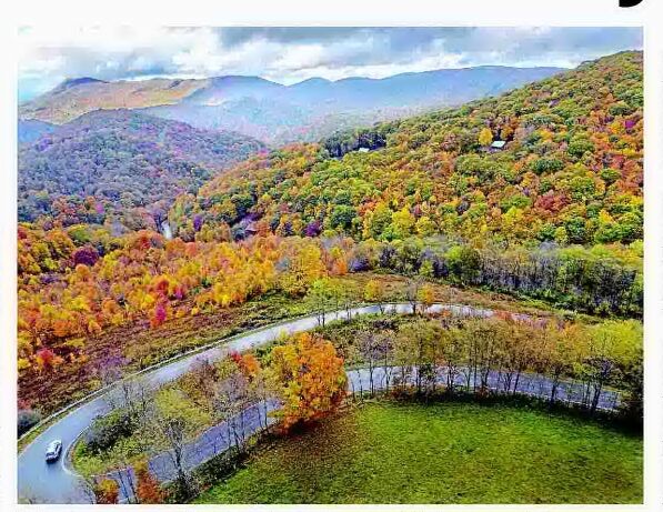 Triad 'extremely dry'